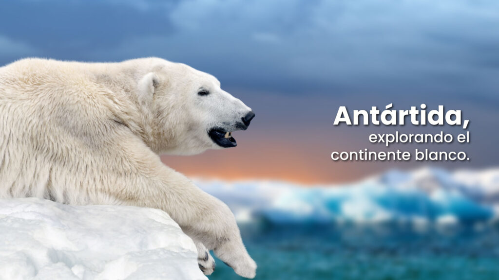 Antártida - Explorando el continente blanco